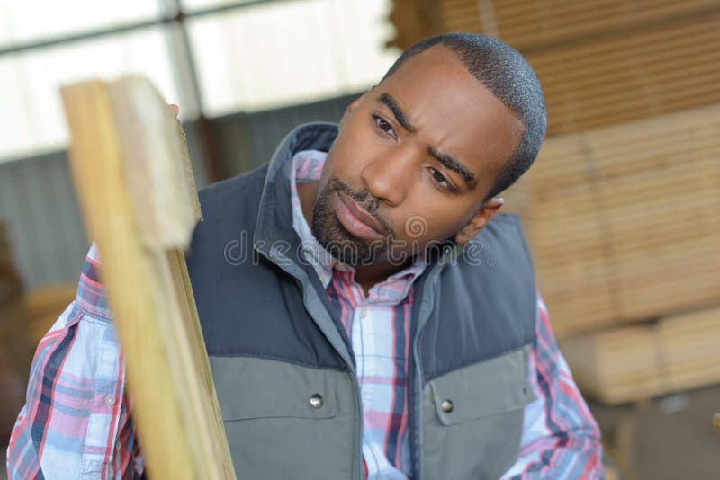 Carpenter Checking Out Wood Stock Photo - Image of logistician, planks ...