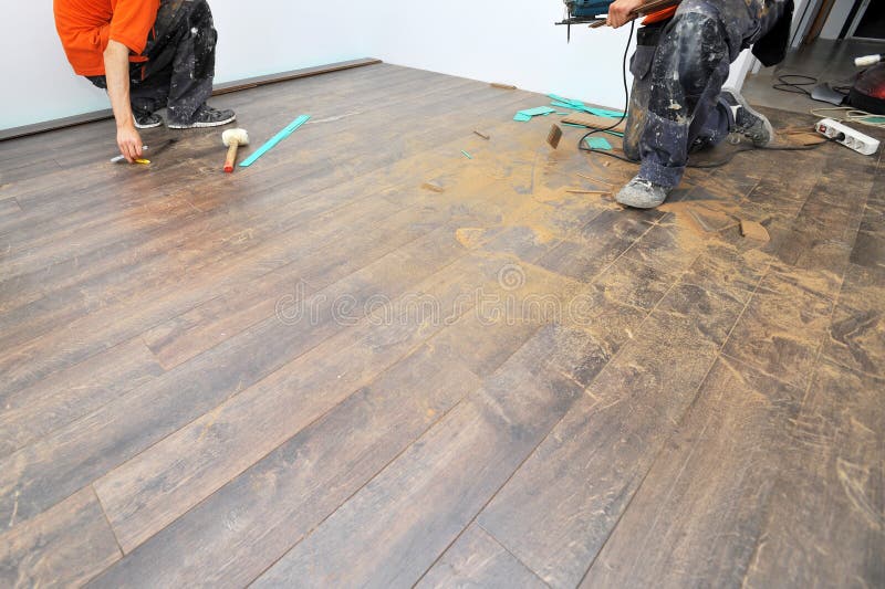 Carpenter Doing Laminate Floor Work Stock Image - Image of gluing ...