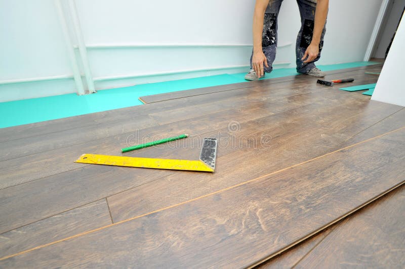 Carpenter Doing Laminate Floor Work Stock Photo - Image of interior ...