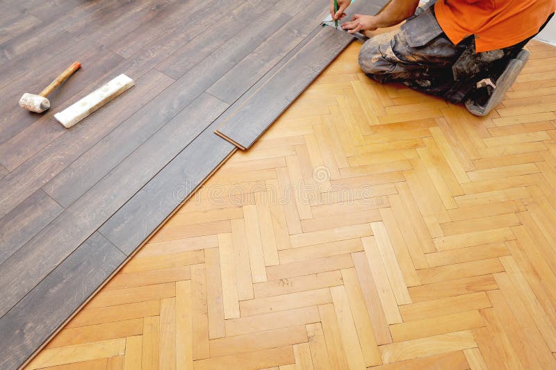 Carpenter Doing Laminate Floor Work Stock Photo - Image of constructor ...