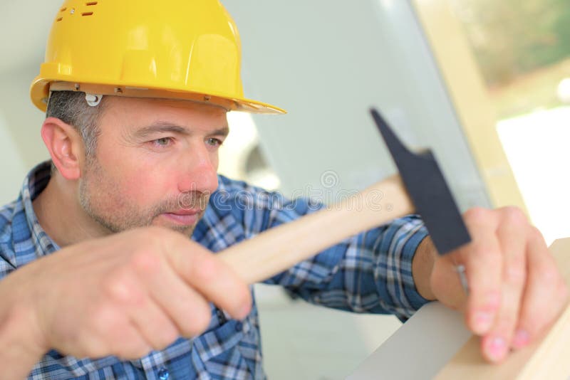 Carpenter with a hammer stock photo. Image of person - 250318024