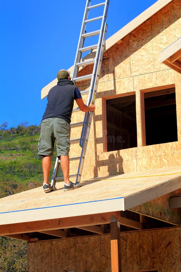 Carpenter with Ladder stock image. Image of architect - 53765915