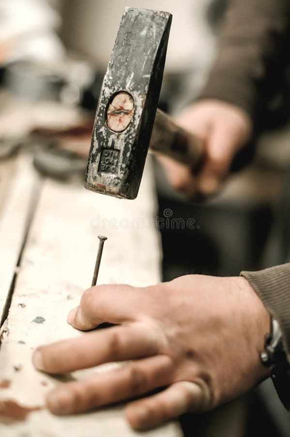Carpenter Using Hammer for His Job in Carpentry Workshop Stock Photo ...