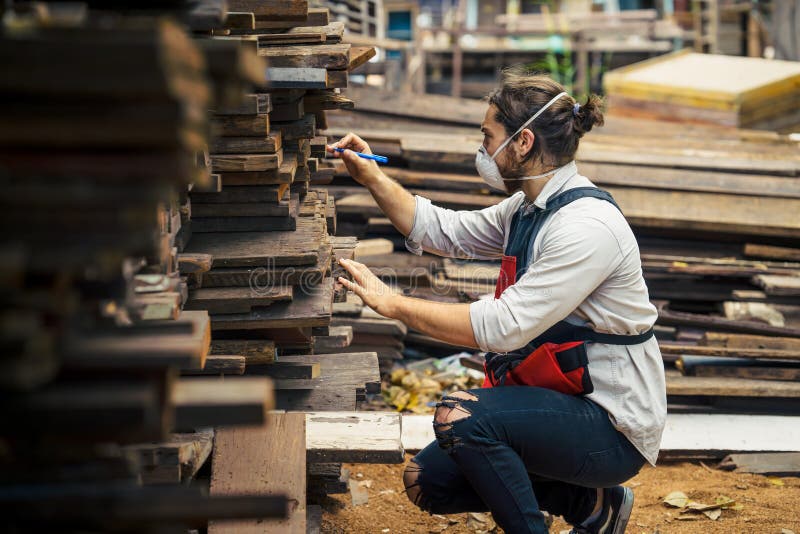 Carpenter Work in Wood Workshop Selecting Timber for His Woddwork Stock ...