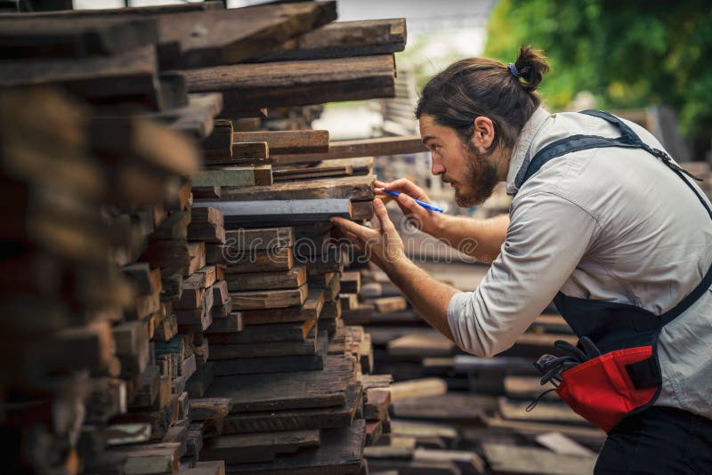 Carpenter Work in Wood Workshop Selecting Timber for His Woddwork Stock ...