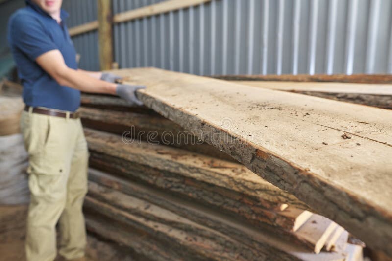 Carpenters Hands with Plank Wood at Carpentry Woodworking Workshop ...
