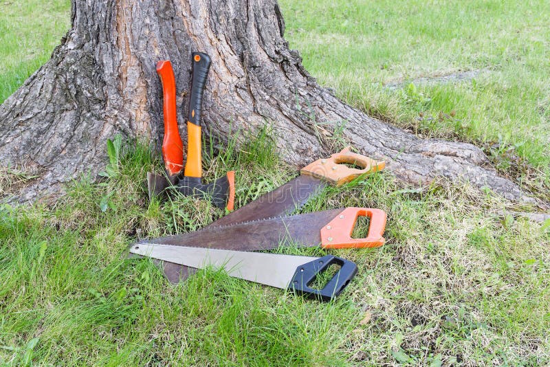 Carpentry tools near tree stock image. Image of trunk - 78759817