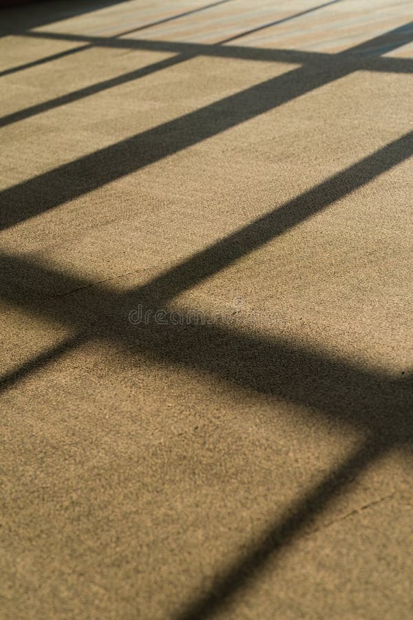 Carpet with Abstract Lines on Surface, Sunlight on the Rug, Silhouettes ...