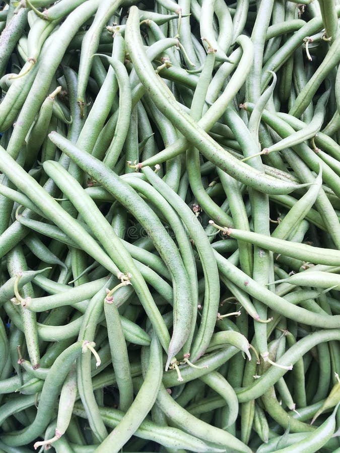 Beans carpet stain stock photo. Image of five, bread - 36002886