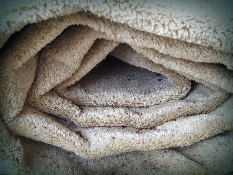 Carpet roll stock photo. Image of carpeting, details - 89460478