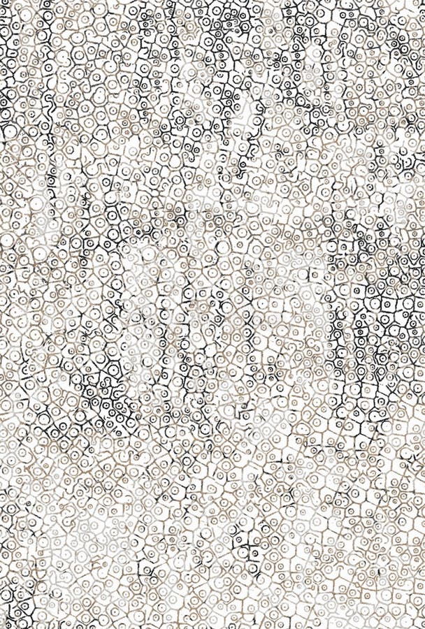 Carpet and Rugs Designs with Distressed Texture and Modern Colors Stock ...