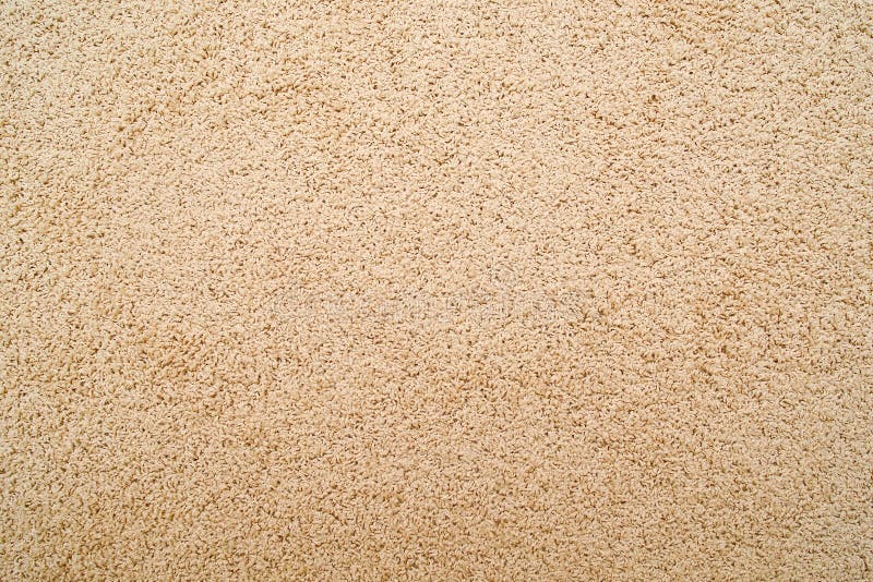 Beige Carpet Texture