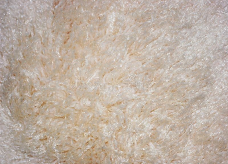 Carpet texture stock photo. Image of surface, white, lush - 762170