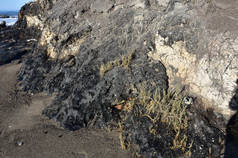 Carpinteria Tar Pits with Clusters of Tar Stock Image - Image of shore ...