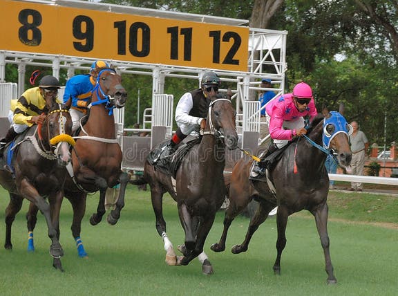 Carrera de caballos imagen de archivo. Imagen de caribe - 150965