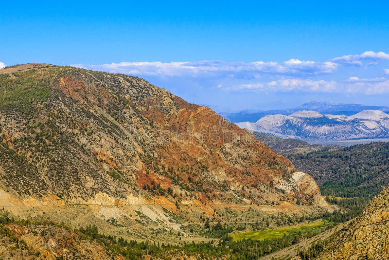 Nacional Bosque-California Del área-Inyo De Gray Mountain Imagen de ...