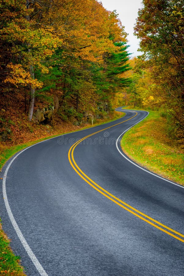 Carretera con curvas foto de archivo. Imagen de follaje - 63527220