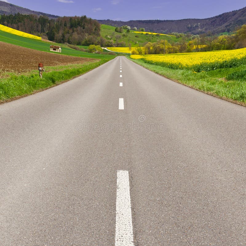 Carretera de asfalto recta foto de archivo. Imagen de azul - 95406046