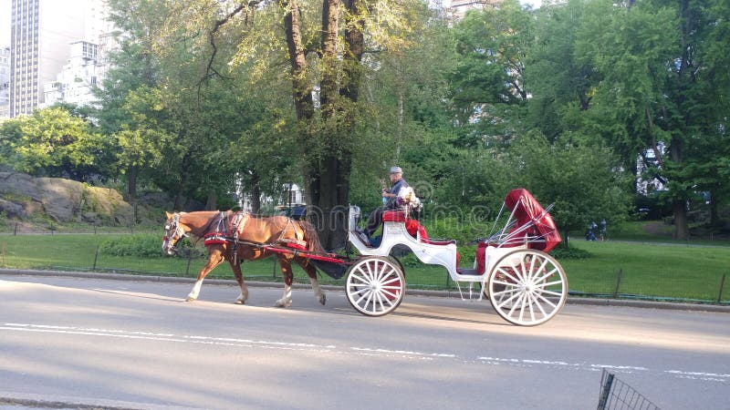 Carriage in Central Park, Manhattan Editorial Photography - Image of ...