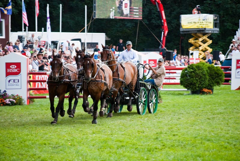 Carriage drive show editorial photo. Image of brown, race - 11159386