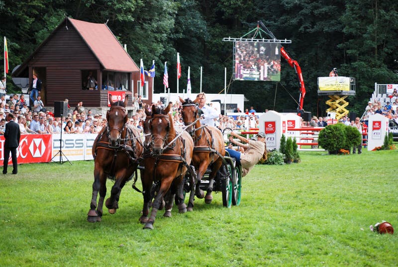 Carriage drive show editorial image. Image of vehicle - 11159070