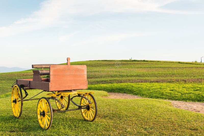 Carriage on Green field stock photo. Image of country - 61853302