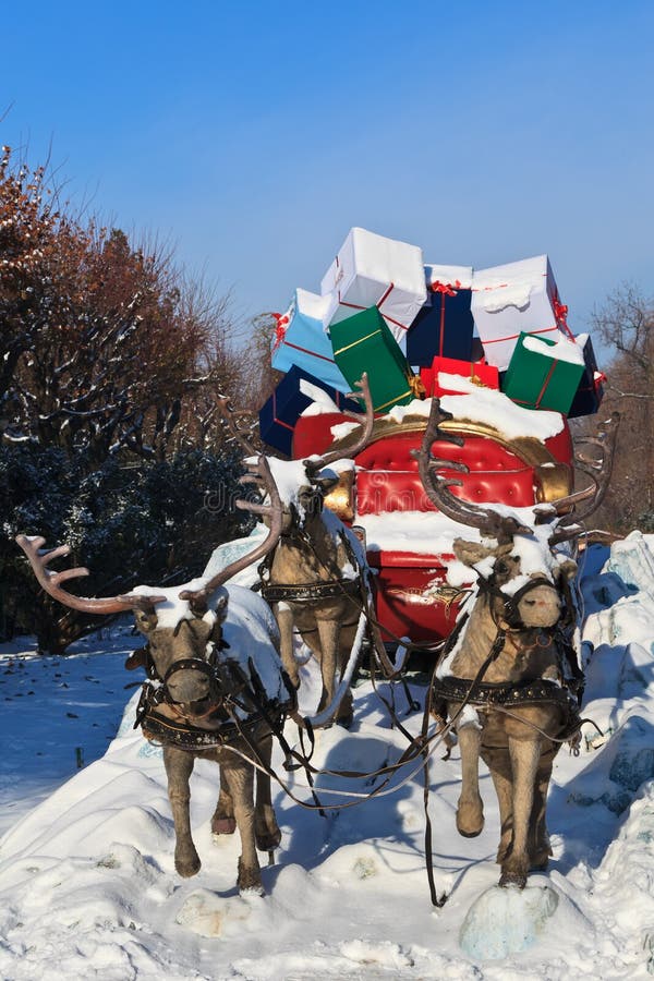 Four reindeer stock photo. Image of lapland, nimal, nordic - 11750854