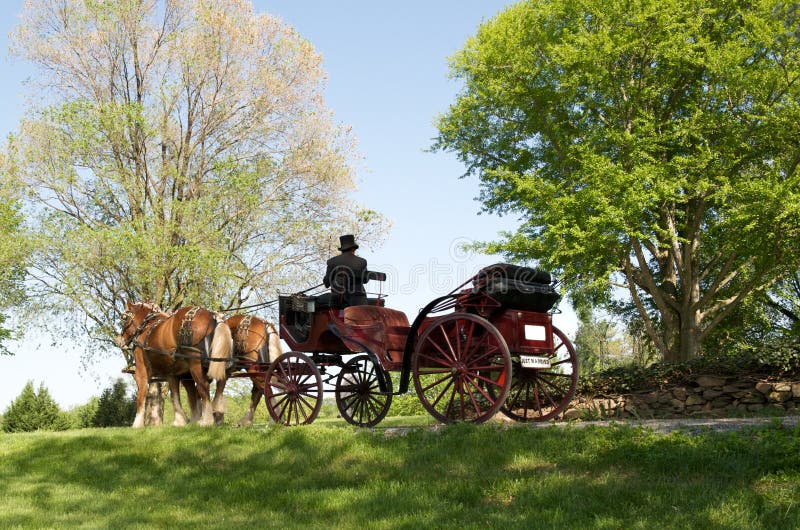 Carriage Ride stock photo. Image of green, glamor, carriage - 5125004