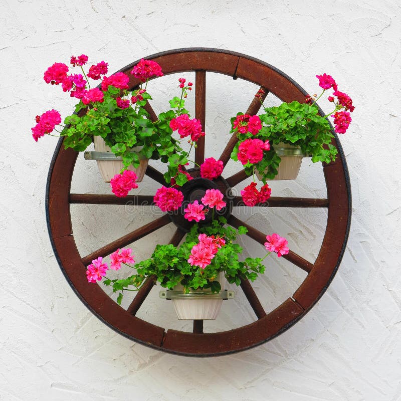 Carriage Wheel with Flowers Stock Image - Image of white, geranium ...