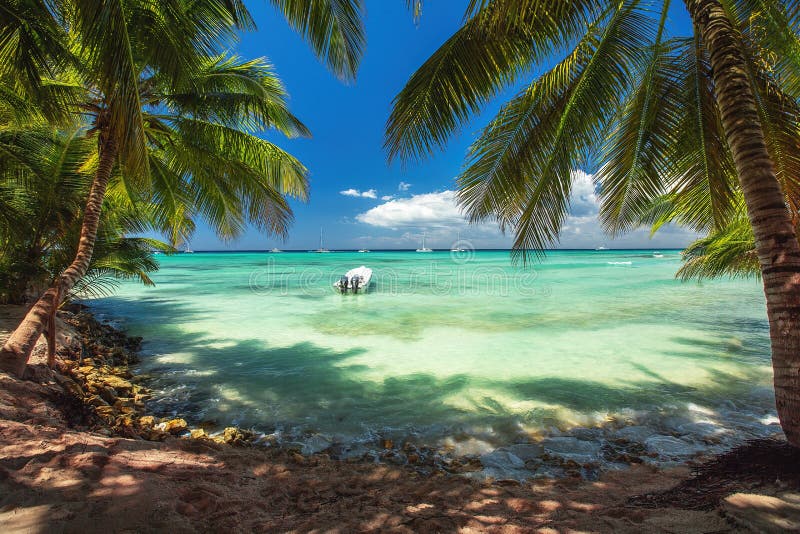 Beautiful Caribbean Sea and Speed Boat on the Beach Shore, Panoramic ...