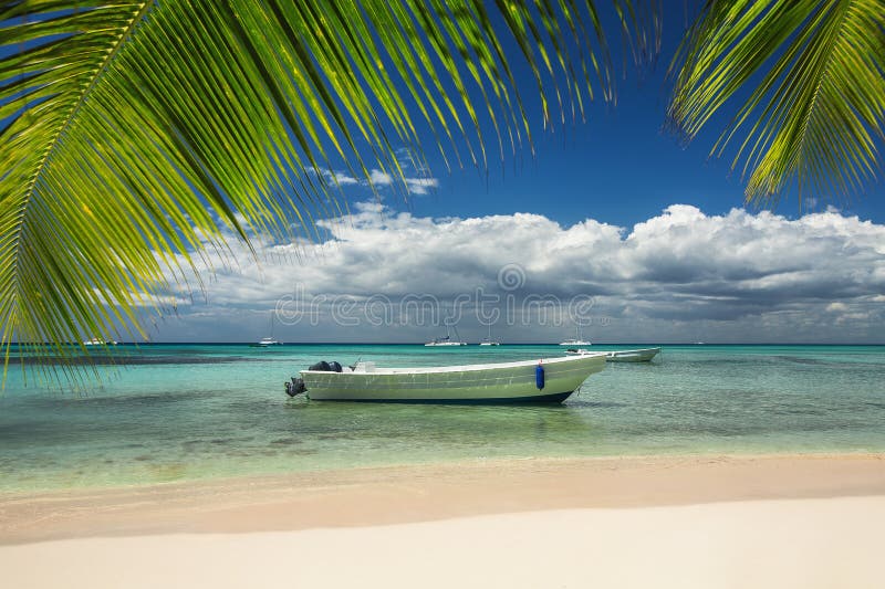 Caribbean Sea and Speedboat, Tropical Panoramic View from Exotic Island ...
