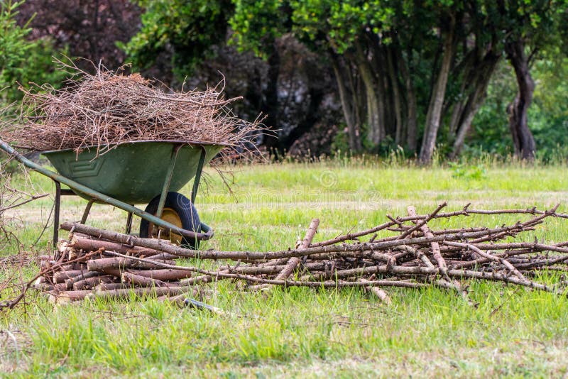 Carrinha cheia de madeira foto de stock. Imagem de naughty - 233951852