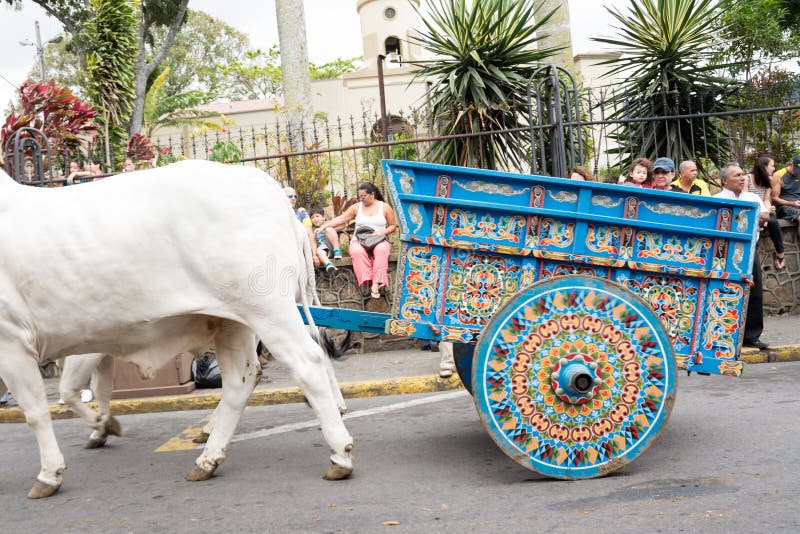 Buey-carro de Costa Rica imagen de archivo editorial. Imagen de ...