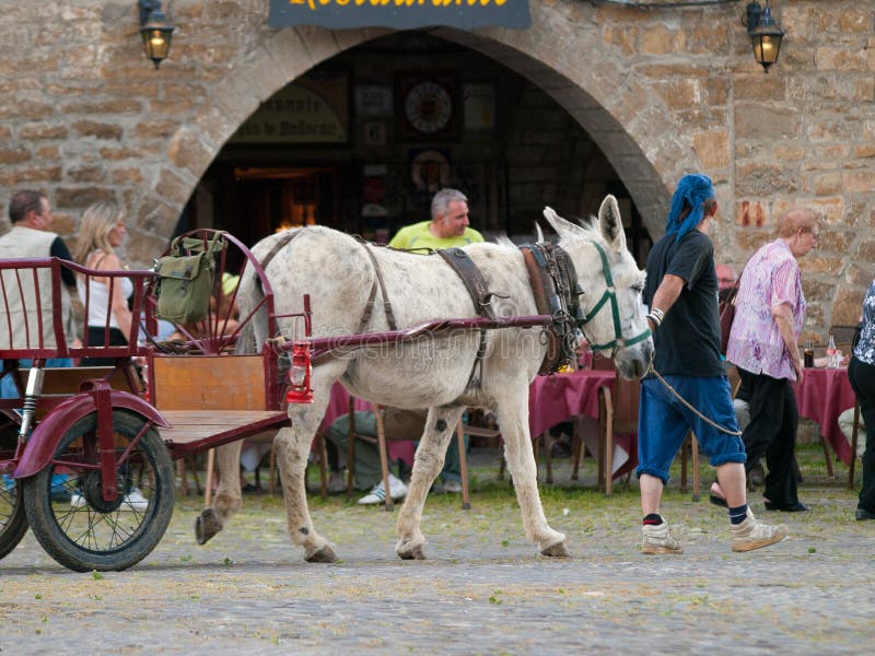 Carro Con Una Mula Para Los Turistas Fotografía editorial - Imagen de ...