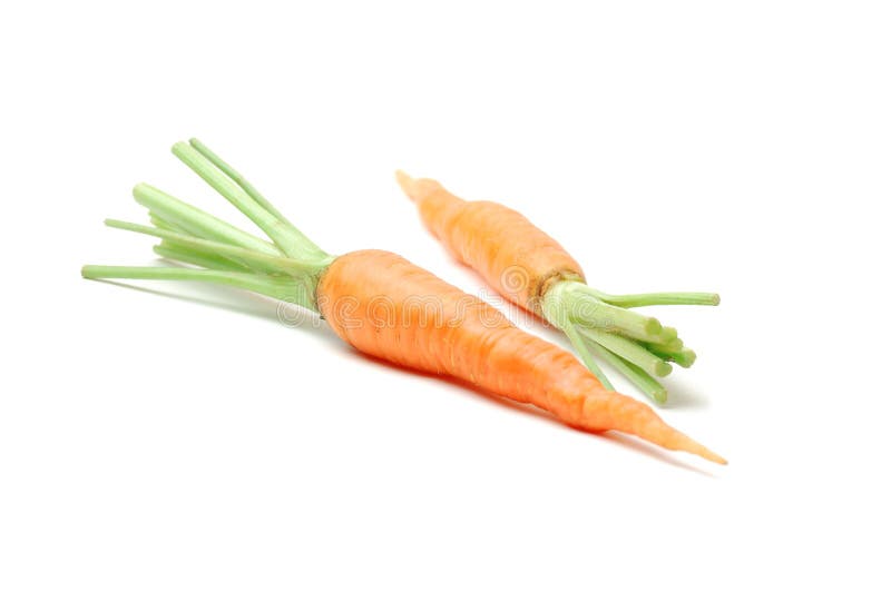 Carrot stock photo. Image of produce, horizontal, organic - 10249936