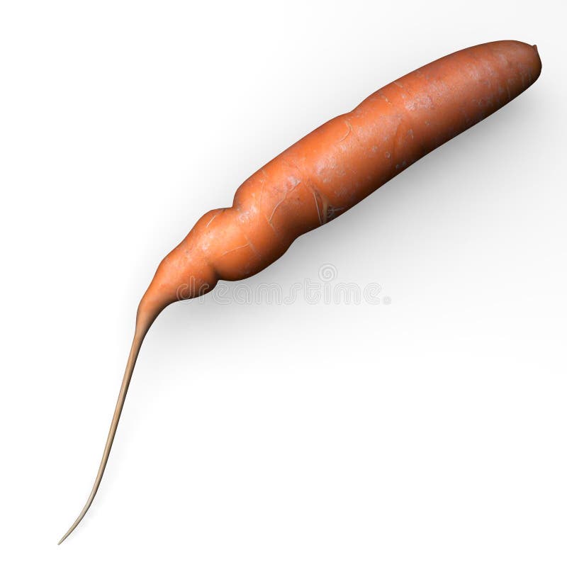 Carrot stock illustration. Illustration of computer, carrot - 11435708