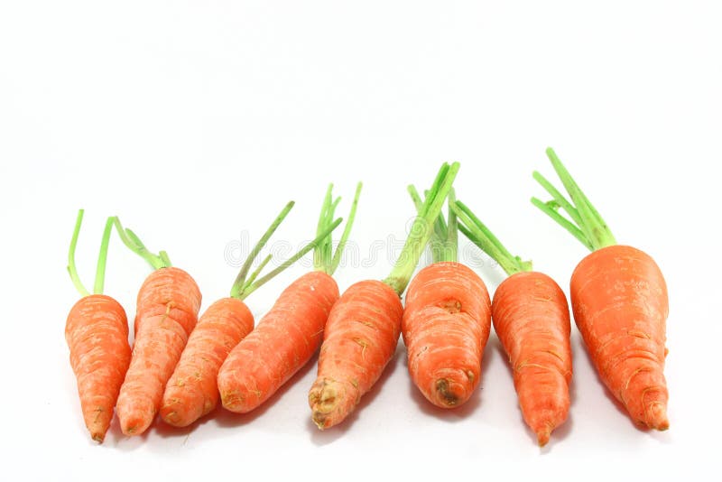 Carrots of Different Sizes and Shapes Stock Image - Image of freshness ...