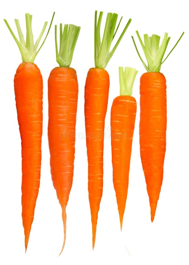 Carrot isolated on white stock image. Image of white - 77169823