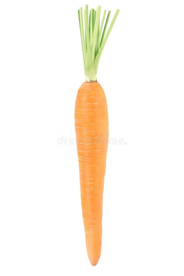Carrot stock photo. Image of nutrition, produce, ingredient - 13388368