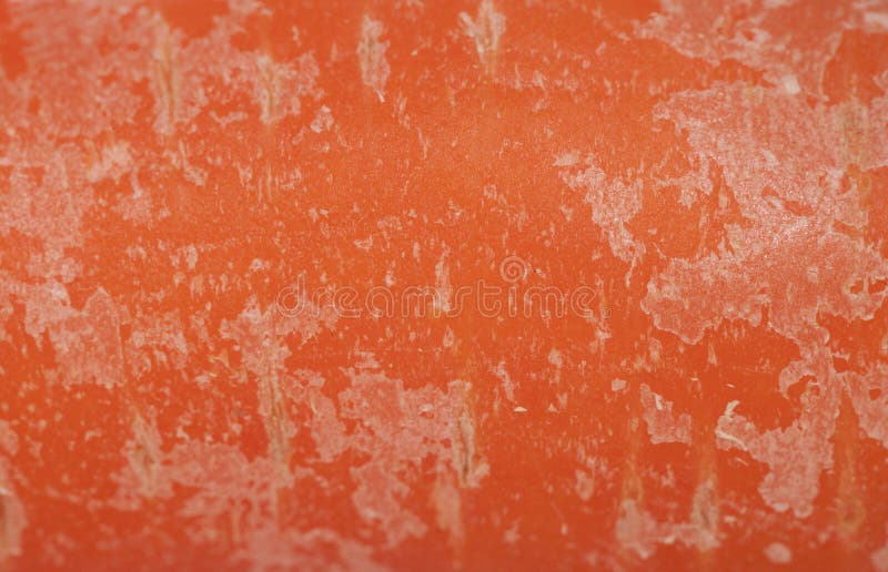 Carrot abstract stock photo. Image of abstract, skin - 35484900