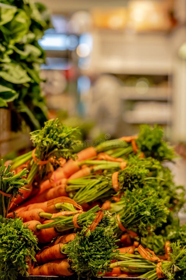 Carrot Bunch stock photo. Image of health, bundle, cultivation - 19618448