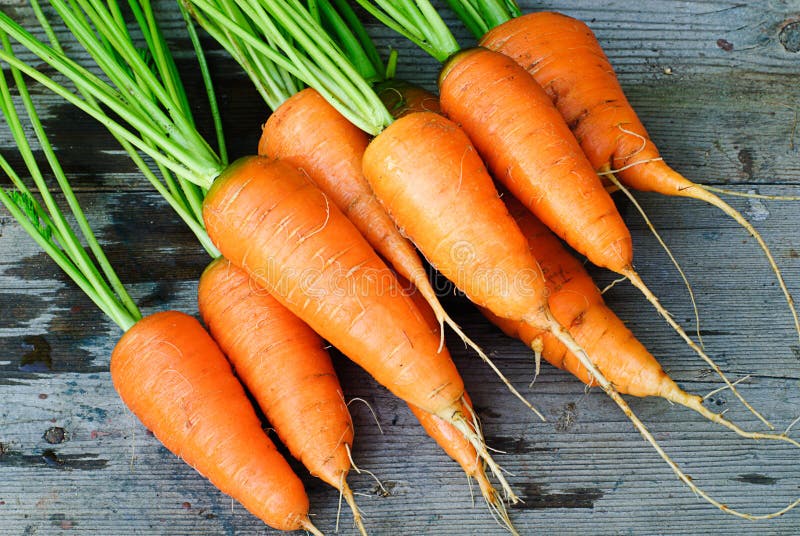 Carrot bunches stock photo. Image of cook, vitamins, food - 11505330