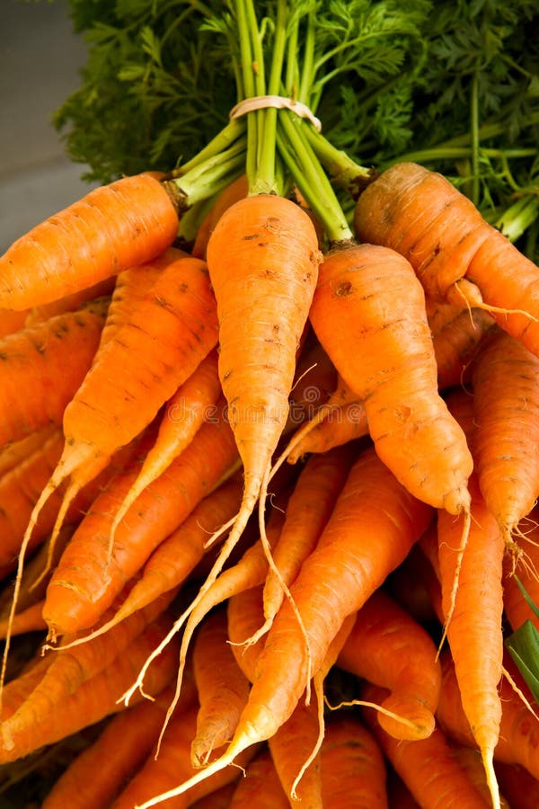 Carrots crop in a basket stock image. Image of ripe, vegetable - 15962943
