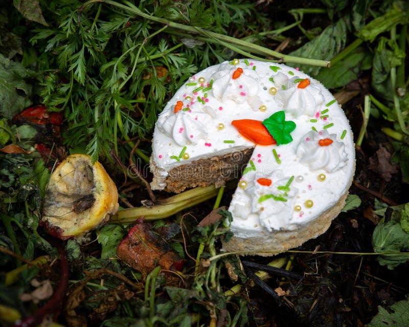 Carrot Cake in the Compost Bin Stock Photo - Image of dumped, decompose ...