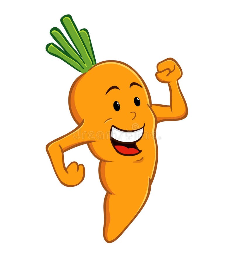 Carrot Cartoon Character stock vector. Illustration of isolated - 47715525