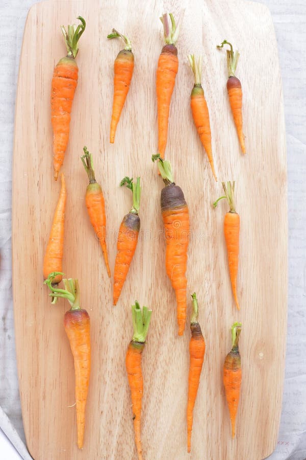 Carrot on chopping block stock image. Image of chopping - 81103685