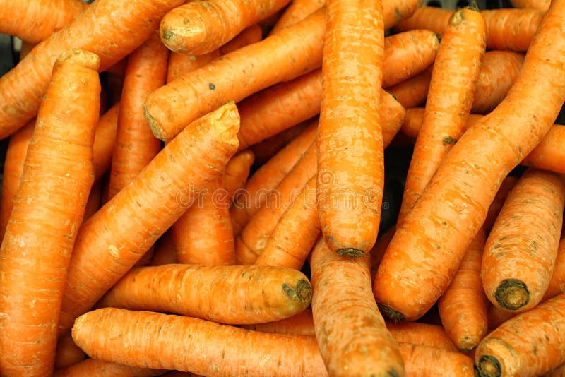Stack of Carrots stock image. Image of clean, vegitable - 341905