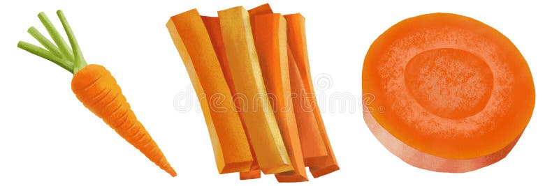 Carrot in Digital Painting Style, with Clipping Path. Stock ...