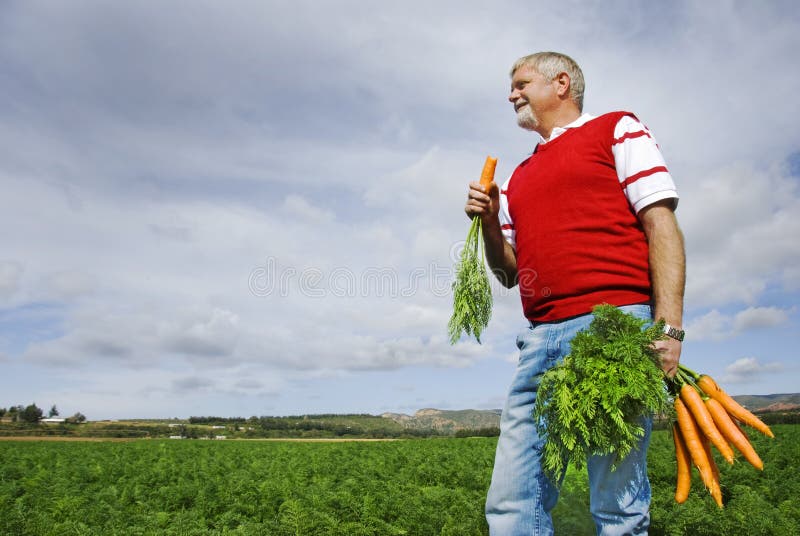 The carrot farmer stock image. Image of outdoors, male - 10397407