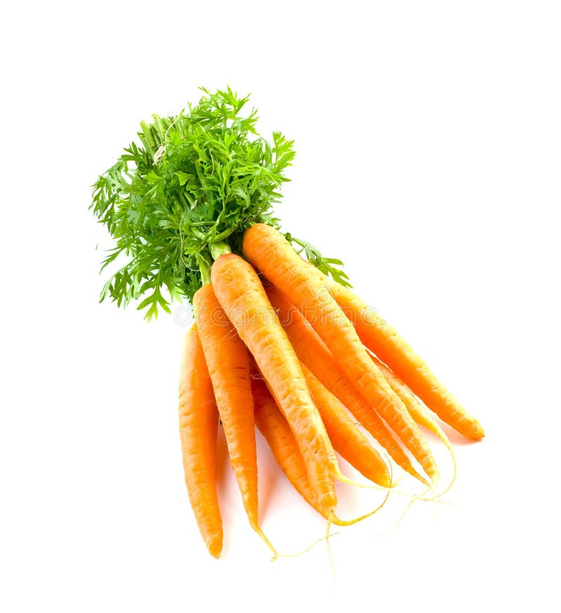 Carrot Fresh Vegetable Group Stock Photo - Image of root, white: 15403186